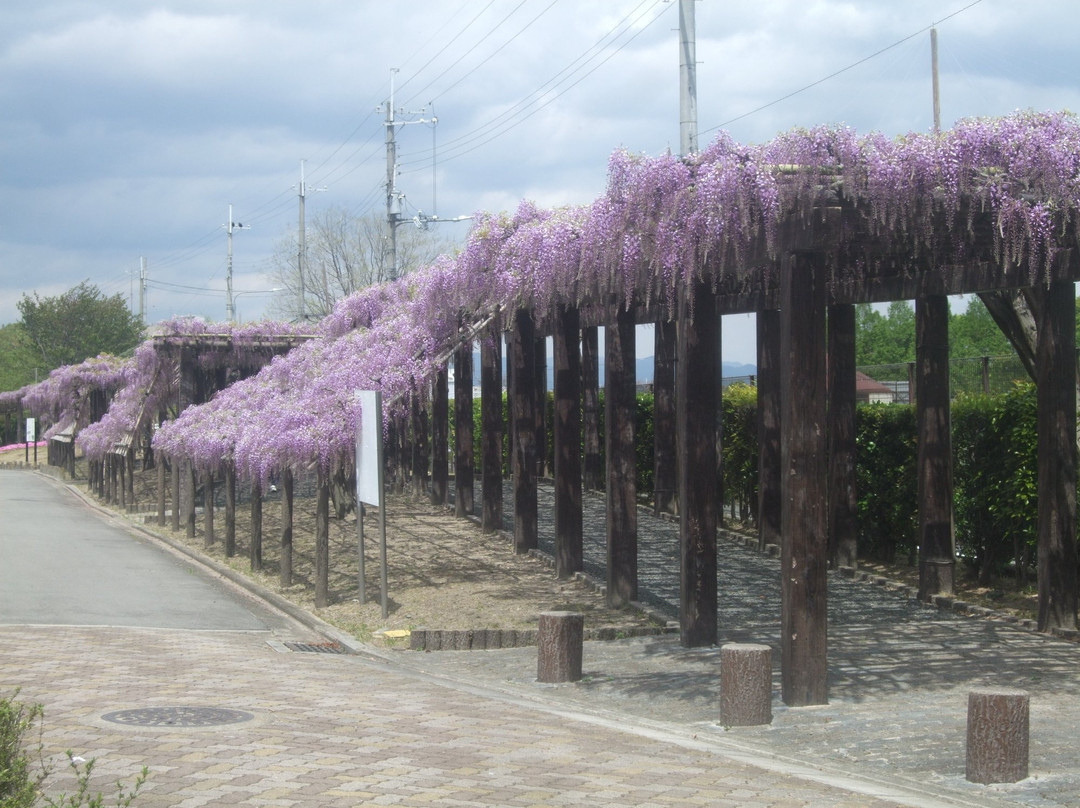 2024年11月Toba Water Environmental Conservation Center景点攻略-Toba Water ...
