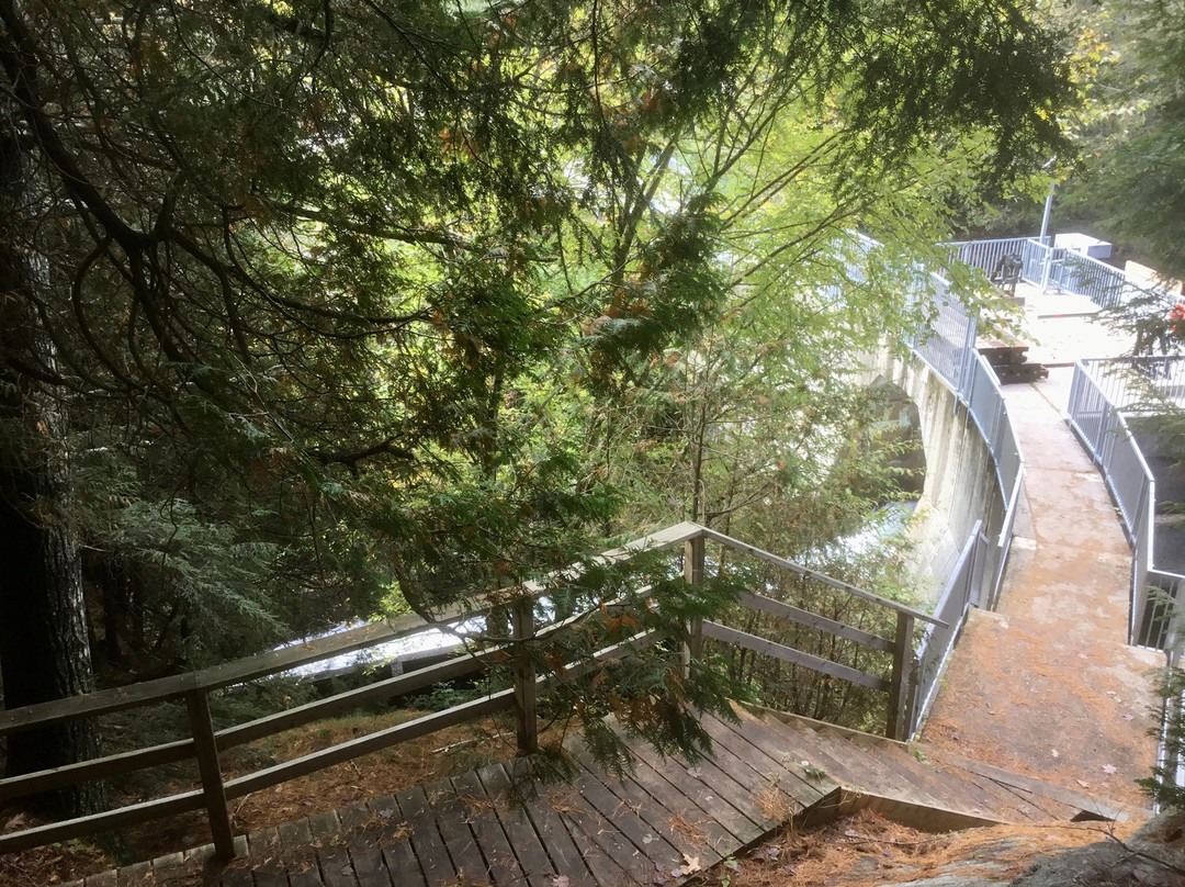 2025年5月Hawk Lake Log Chute景点攻略-Hawk Lake Log Chute门票预订|地址|图片-Hawk Lake ...