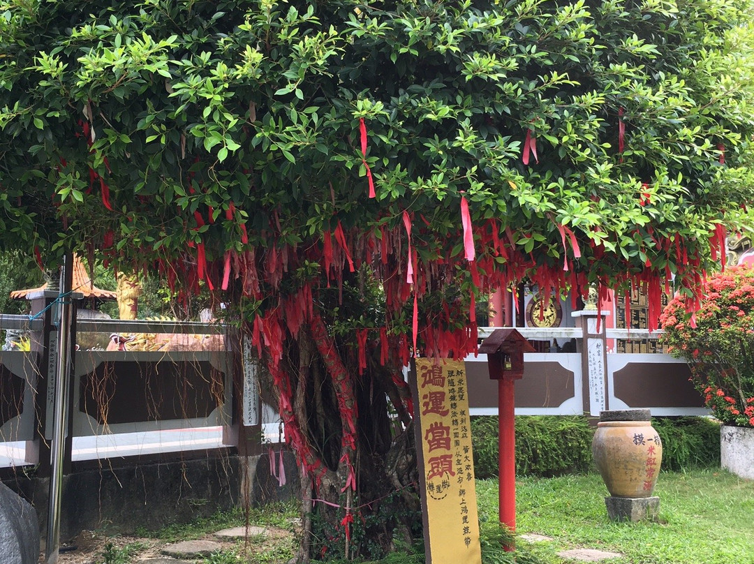 2024年1月Foo Lin Kong Temple景点攻略-Foo Lin Kong Temple门票预订|地址|图片-Foo Lin ...
