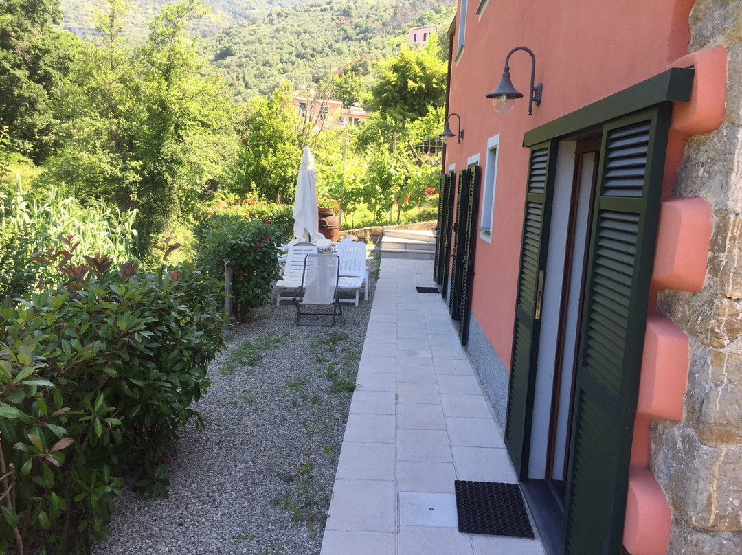 2025年7月Legnaro旅游景点攻略-Legnaro旅游住宿,-Legnaro旅游美食-猫途鹰