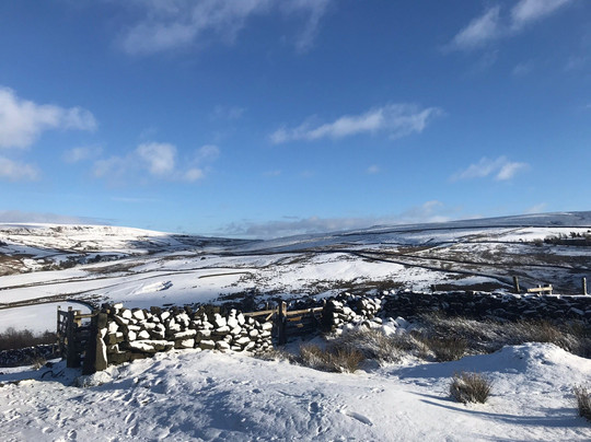 2023年11月Wycoller Country Park景点攻略-Wycoller Country Park门票预订|地址|图片 ...