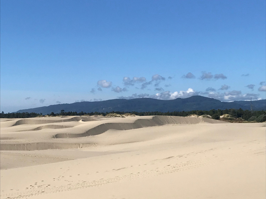 2025年3月Sand Master Park - Sandboarding景点攻略-Sand Master Park ...