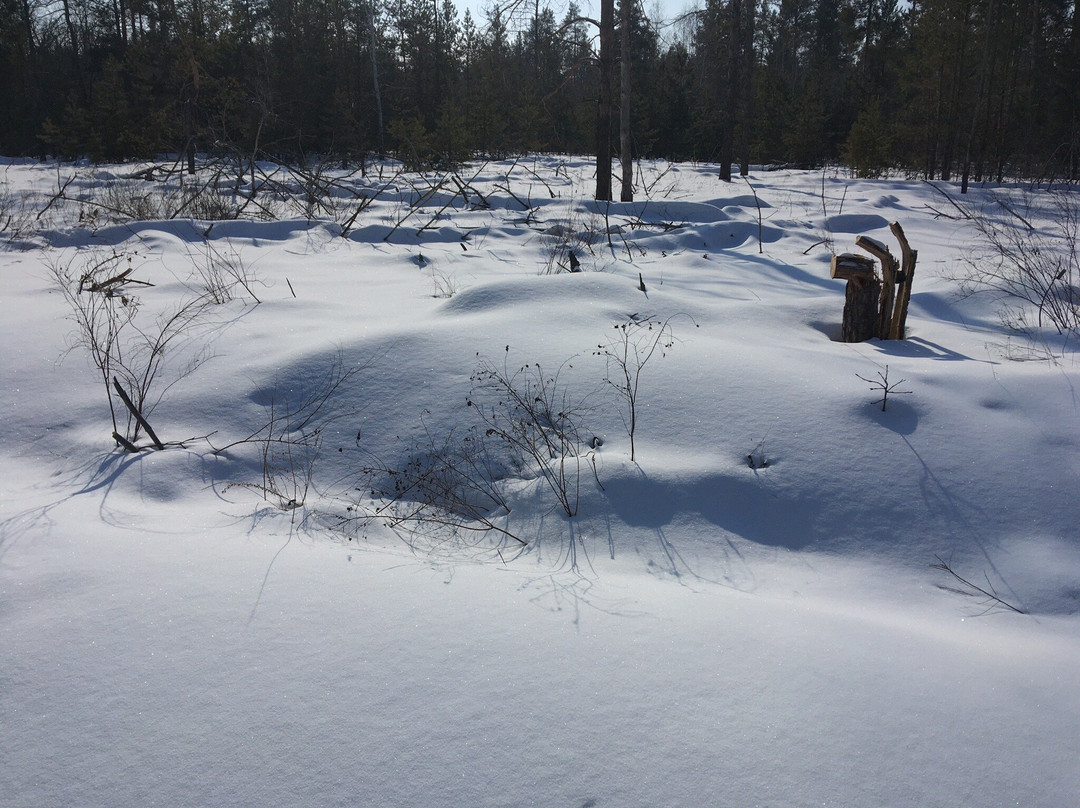 2025年5月Zhareny Bugor旅游景点攻略-Zhareny Bugor旅游住宿,-Zhareny Bugor旅游美食-猫途鹰