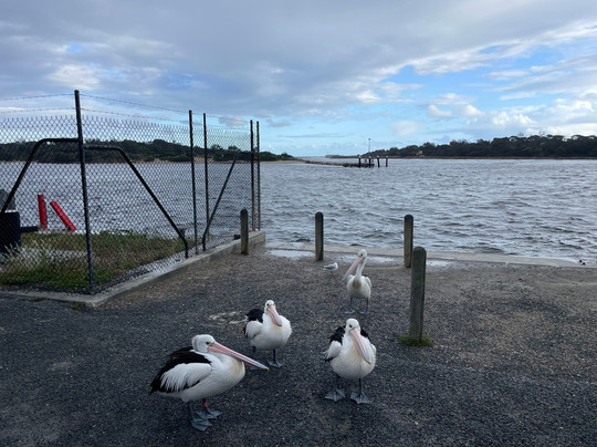 2023年11月Bullock Island景点攻略-Bullock Island门票预订|地址|图片-Bullock Island景点点评-猫途鹰