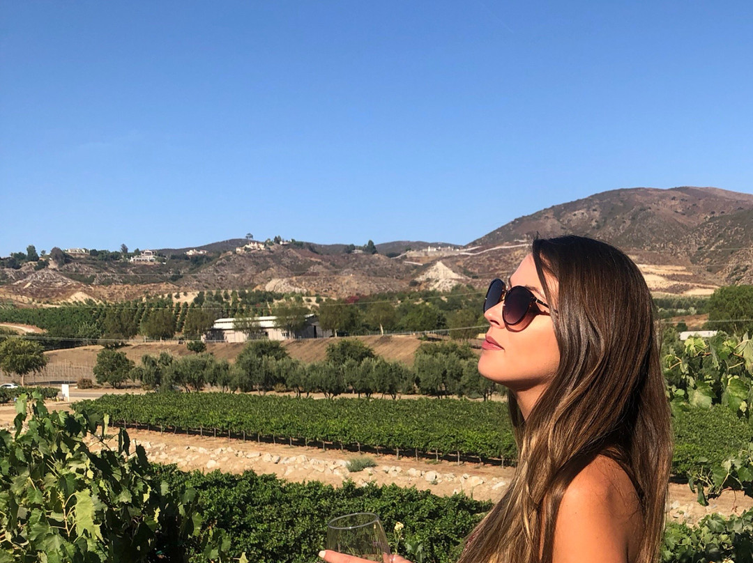 2023年11月Robert Renzoni Winery景点攻略-Robert Renzoni Winery门票预订|地址|图片 ...