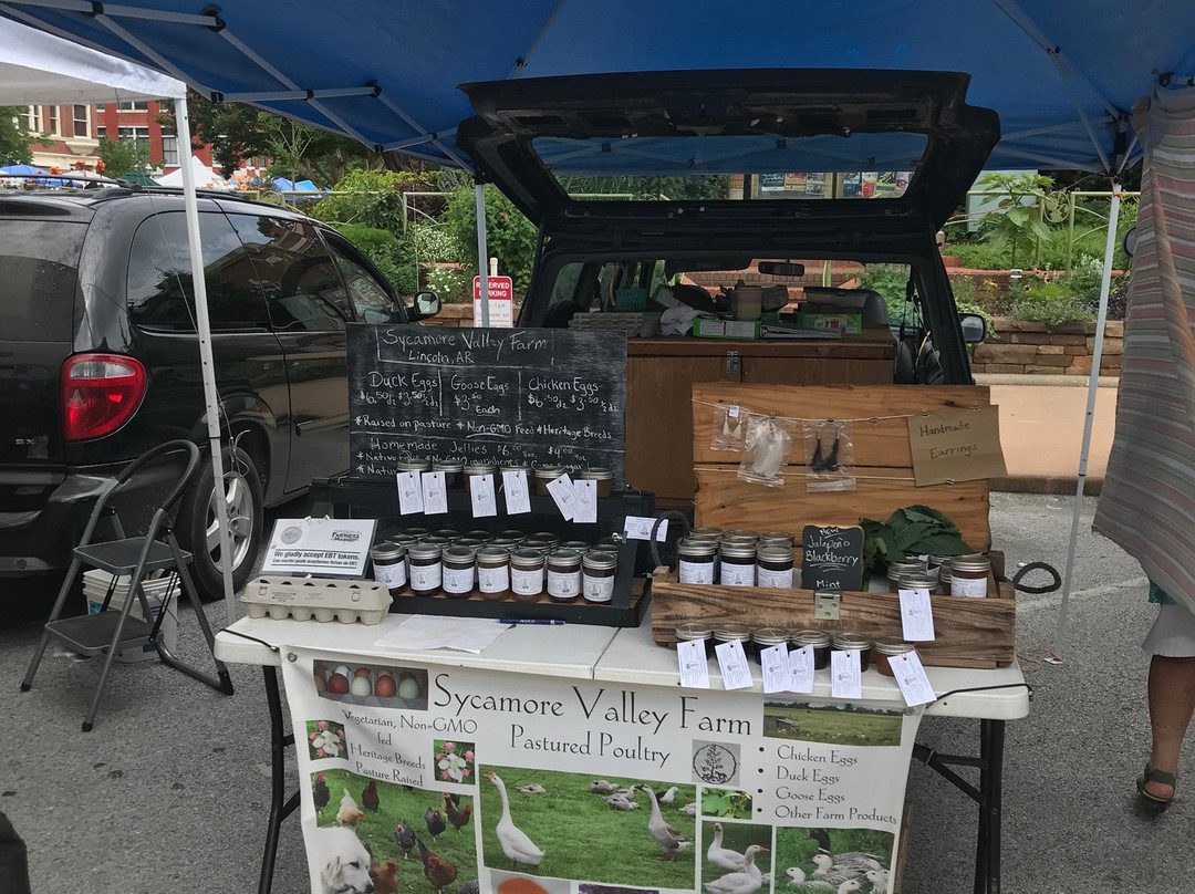 2023年12月Fayetteville Downtown Square & Gardens景点攻略-Fayetteville ...