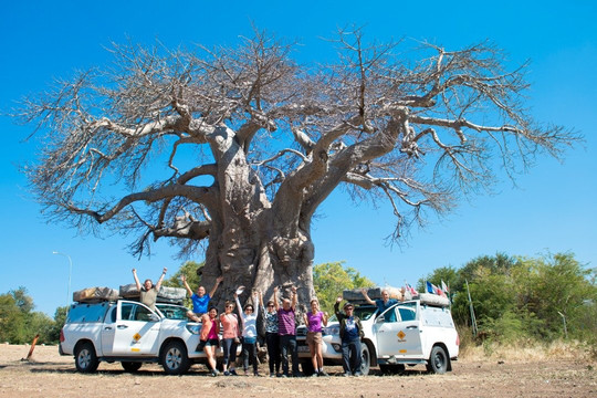 2025年3月Bushlore Africa景点攻略-Bushlore Africa门票预订|地址|图片-Bushlore Africa景点 ...