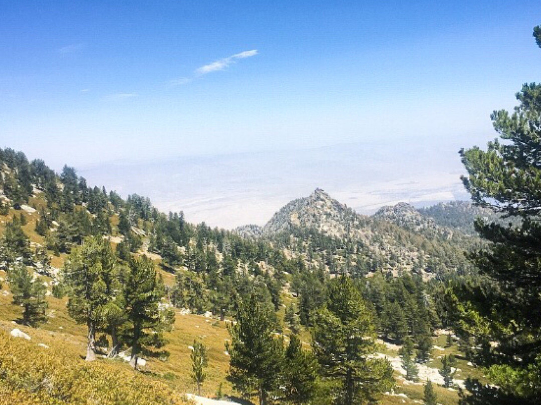 2024年10月Mount San Jacinto State Park and Wilderness景点攻略-Mount San ...