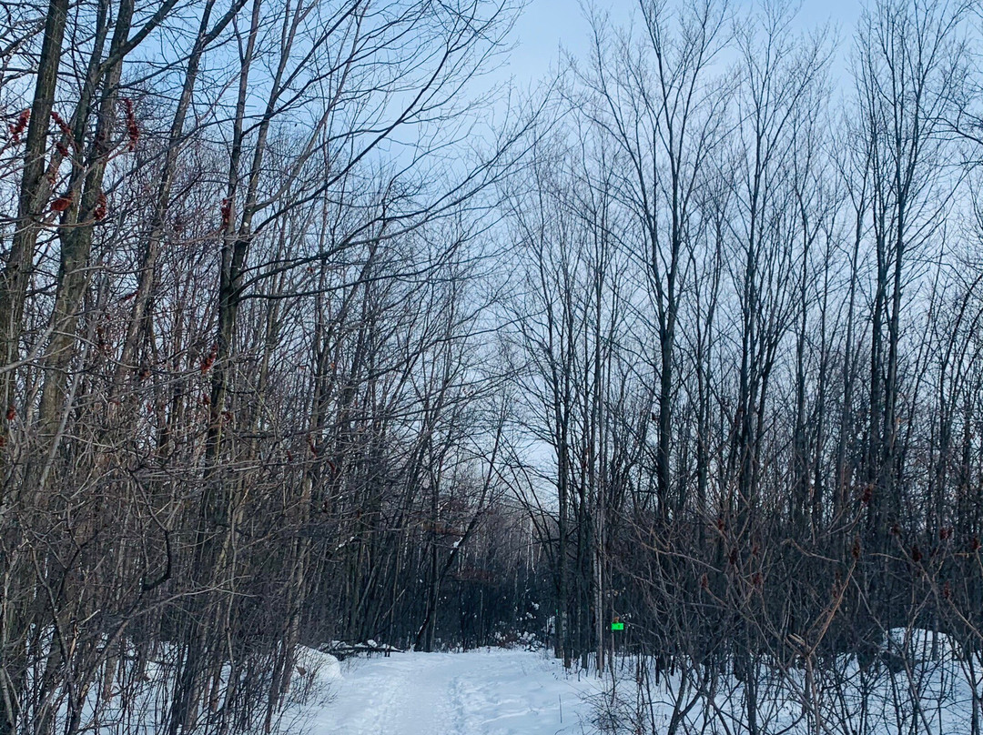 2024年2月Parc-Nature-du-Bois-de-l'île-Bizard景点攻略-Parc-Nature-du-Bois-de-l ...