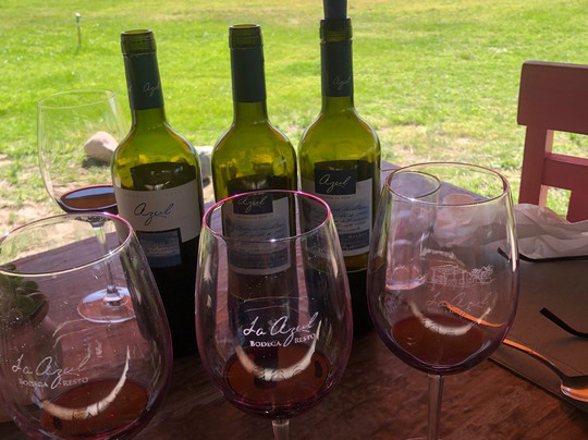 2025年2月Bodega La Azul景点攻略-Bodega La Azul门票预订|地址|图片-Bodega La Azul景点点评-猫途鹰