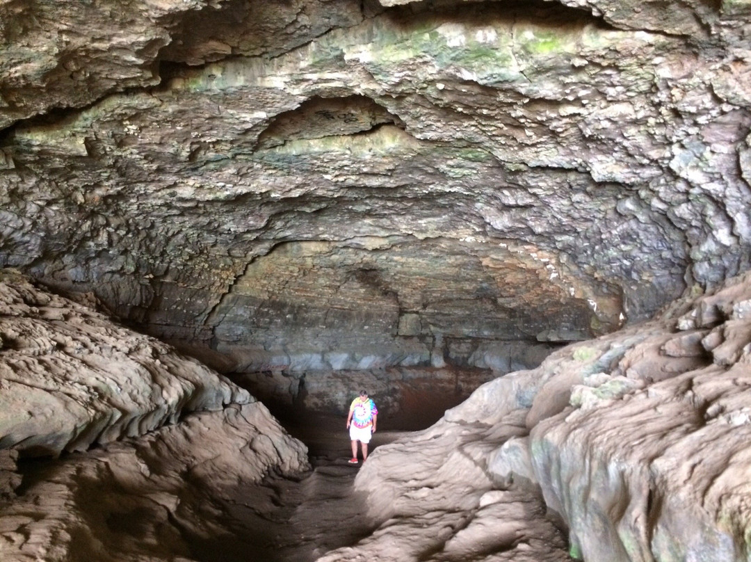 2025年2月Cave-in-Rock State Park景点攻略-Cave-in-Rock State Park门票预订|地址|图片 ...