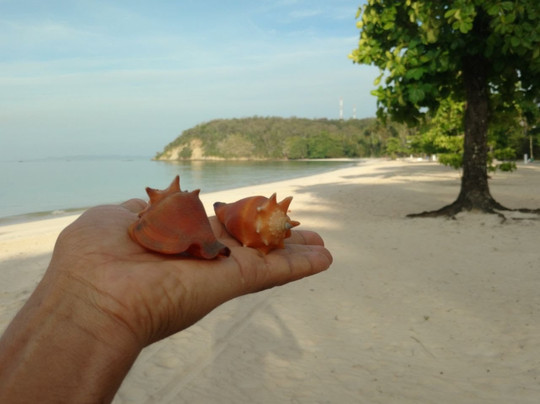 2023年12月Praia de Inema景点攻略-Praia de Inema门票预订|地址|图片-Praia de Inema景点点评-猫途鹰