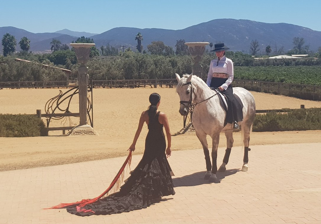 2024年4月Adobe Guadalupe Vineyards & Inn Aztec Breeding Farm景点攻略-Adobe ...