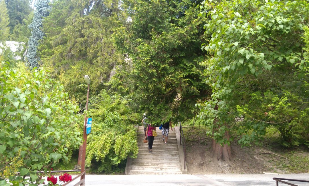 2025年1月Stos旅游景点攻略-Stos旅游住宿,-Stos旅游美食-猫途鹰