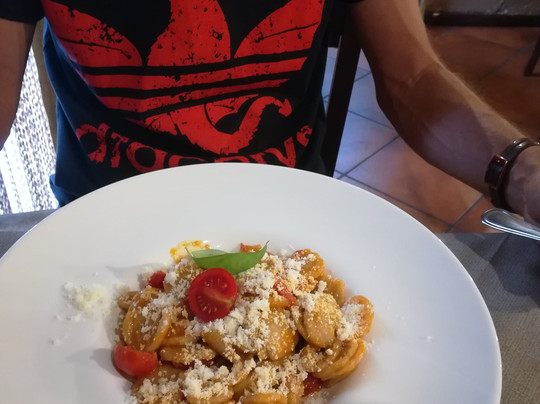 Trattoria Amatulli - (阿尔贝罗贝洛)餐厅/美食点评 - 餐厅地址/餐厅电话/餐厅周边信息/餐厅推荐菜 ...