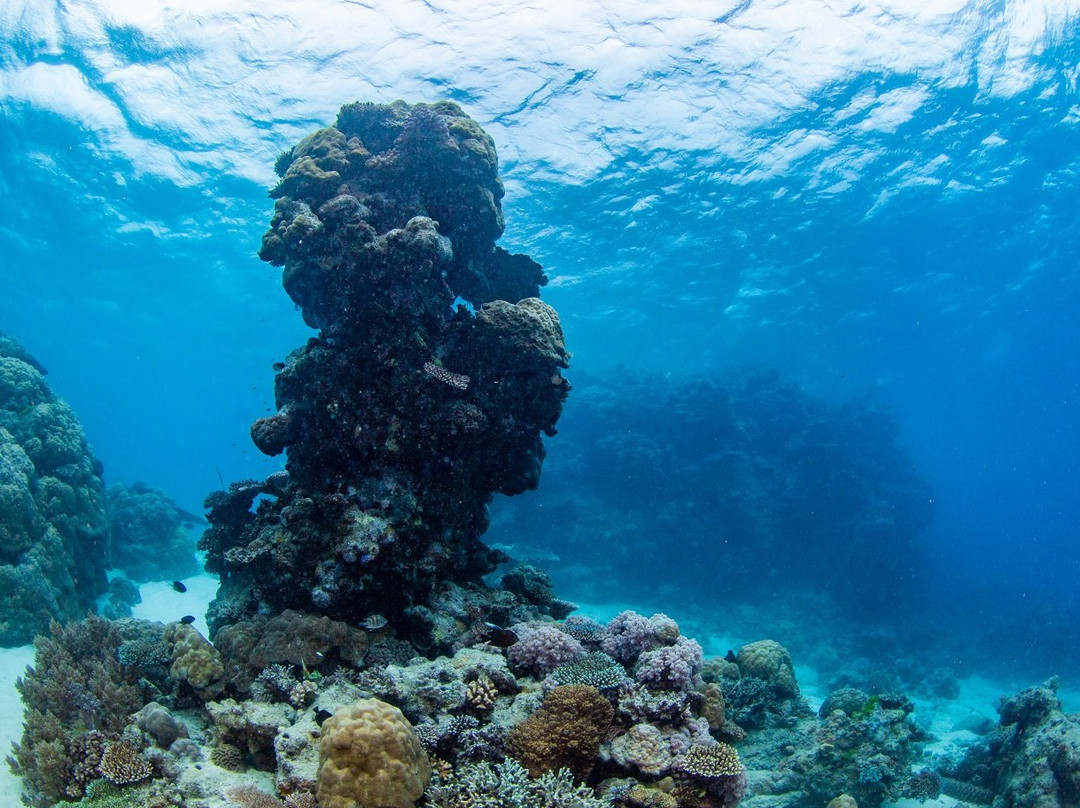 2025年2月Great Barrier Reef景点攻略-Great Barrier Reef门票预订|地址|图片-Great ...