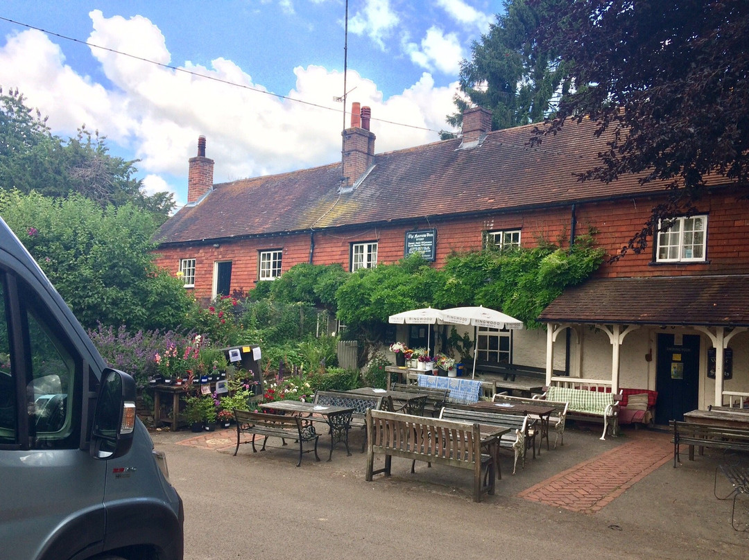 The Harrow Inn - (Steep)餐厅/美食点评 - 餐厅地址/餐厅电话/餐厅周边信息/餐厅推荐菜 - Tripadvisor猫途鹰