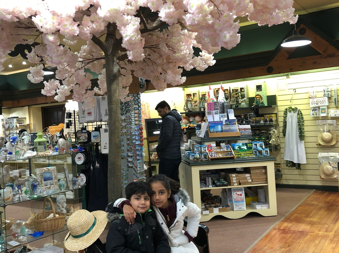 2023年12月Anne of Green Gables Store景点攻略-Anne of Green Gables Store门票预订 ...