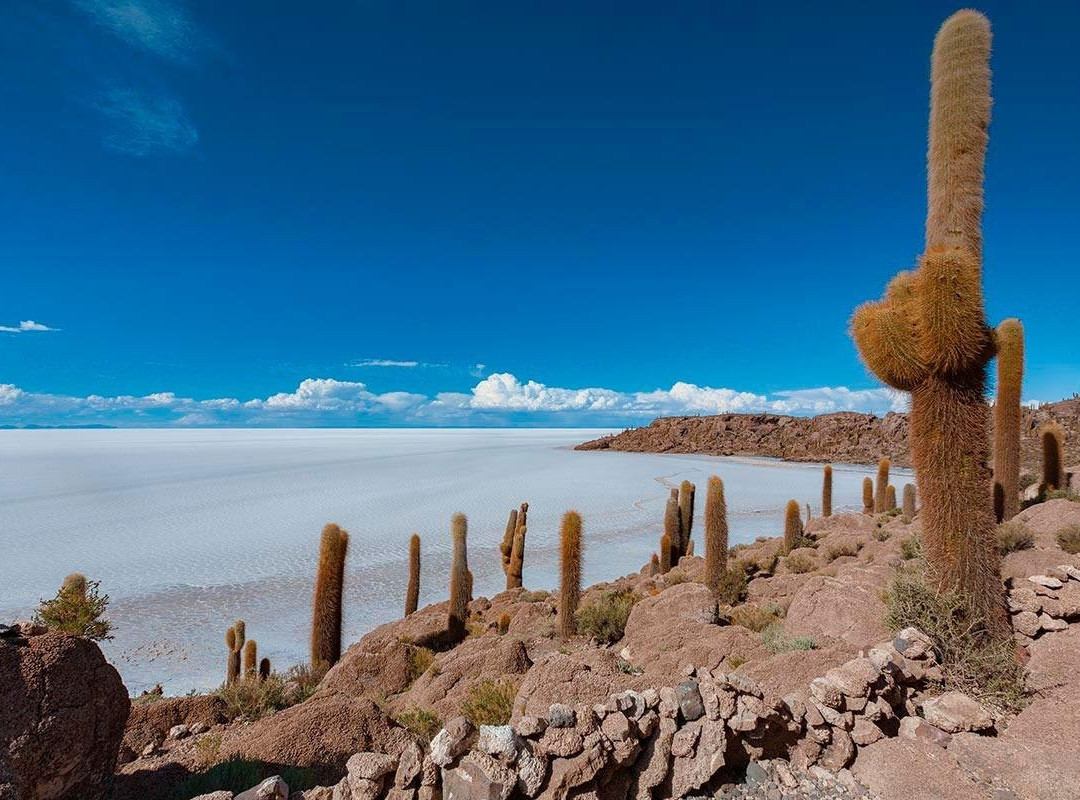 2025年10月Uyuni Experience景点攻略-Uyuni Experience门票预订|地址|图片-Uyuni ...