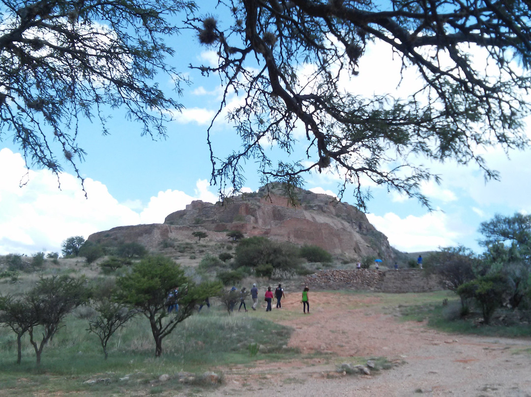 2024年7月La Quemada景点攻略-La Quemada门票预订|地址|图片-La Quemada景点点评-猫途鹰