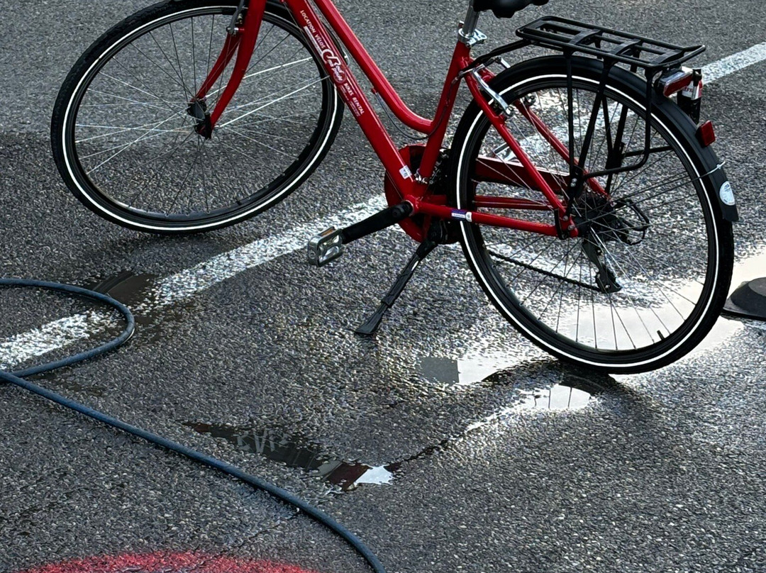 2025年10月ROUL' ma POULE Zixingche chuzu景点攻略-ROUL' ma POULE Zixingche ...