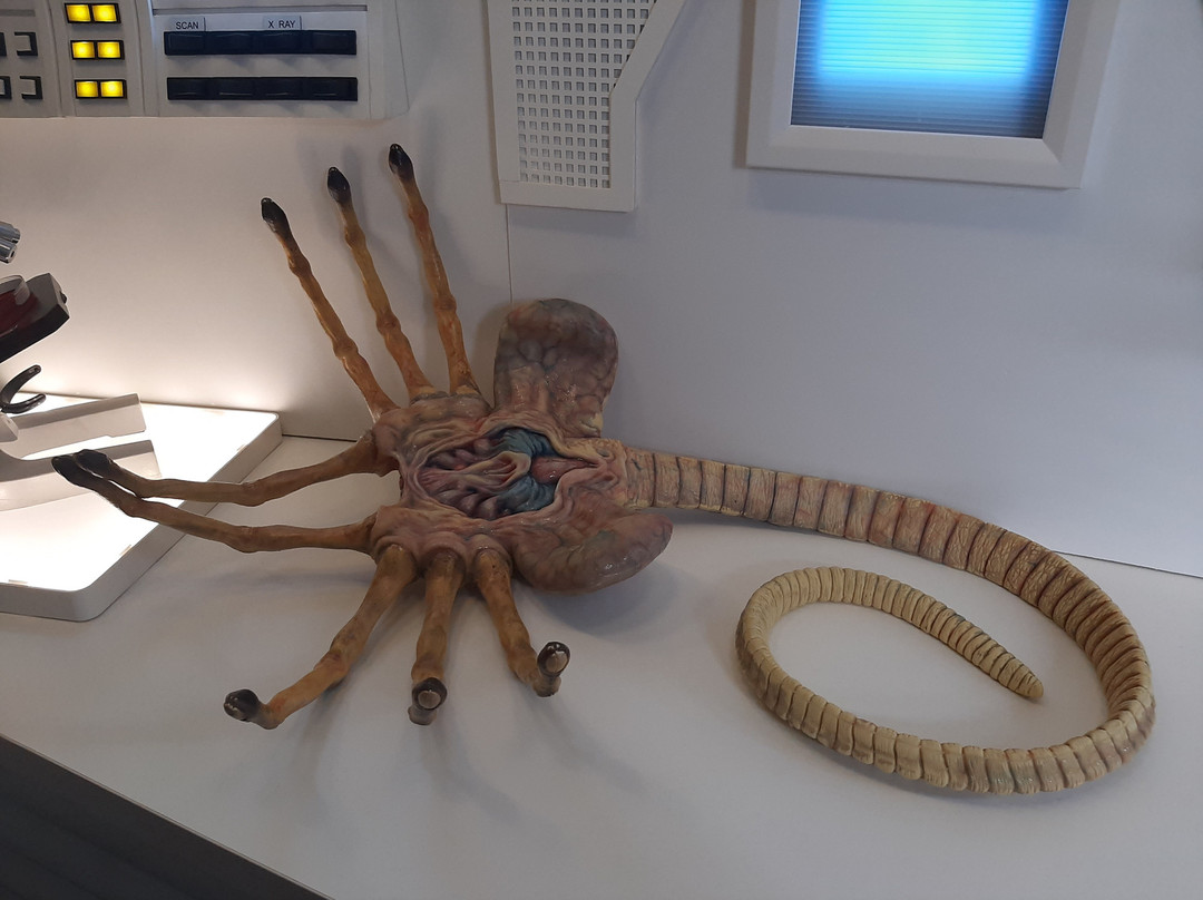 2024年3月Museo Alien景点攻略-Museo Alien门票预订|地址|图片-Museo Alien景点点评-猫途鹰