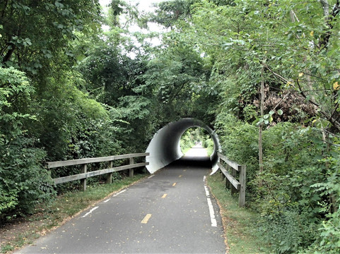 2025年2月Cape Cod Rail Trail景点攻略-Cape Cod Rail Trail门票预订|地址|图片-Cape Cod ...