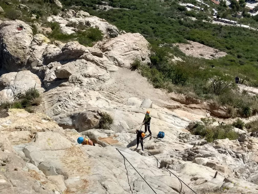 2024年10月Exxi MX景点攻略-Exxi MX门票预订|地址|图片-Exxi MX景点点评-猫途鹰