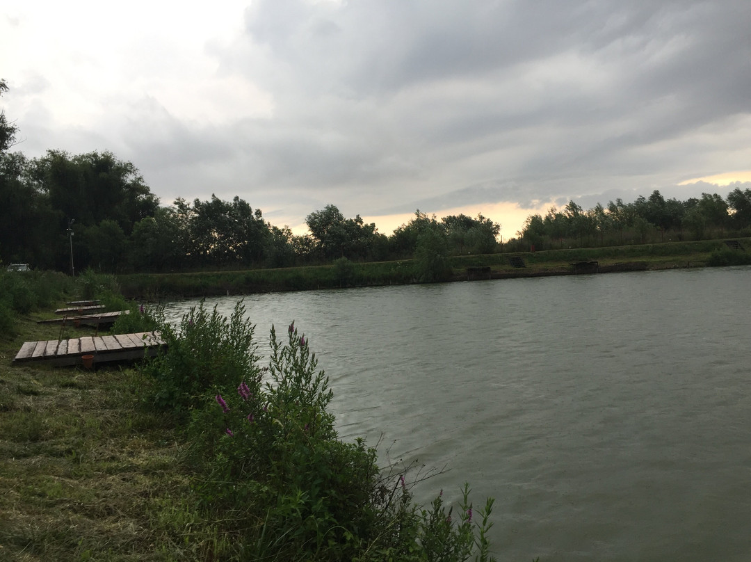 2024年6月Sacalaz景点攻略-Sacalaz旅游必去景点-Sacalaz景点大全-猫途鹰