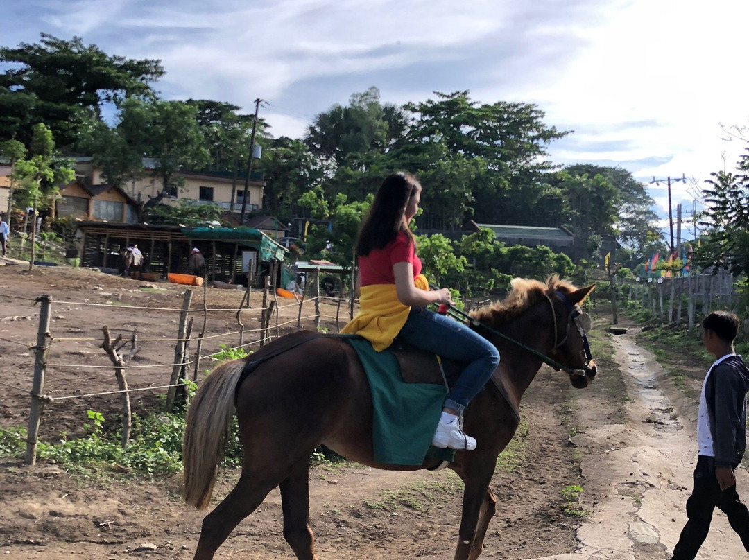 2025年10月Residence Inn Zoo景点攻略-Residence Inn Zoo门票预订|地址|图片-Residence Inn ...