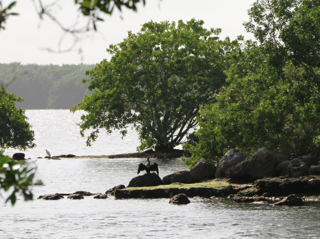 2024年3月Black Point Park and Marina景点攻略-Black Point Park and Marina门票预订 ...