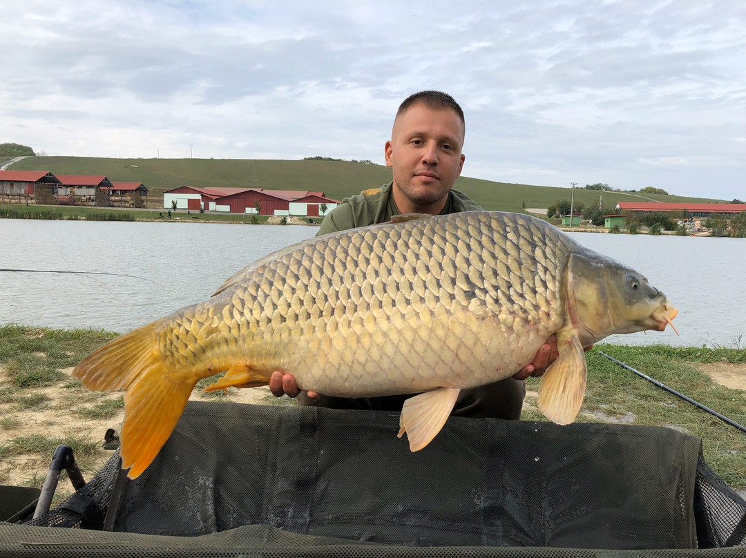 2024年12月Bonnya旅游景点攻略-Bonnya旅游住宿,-Bonnya旅游美食-猫途鹰