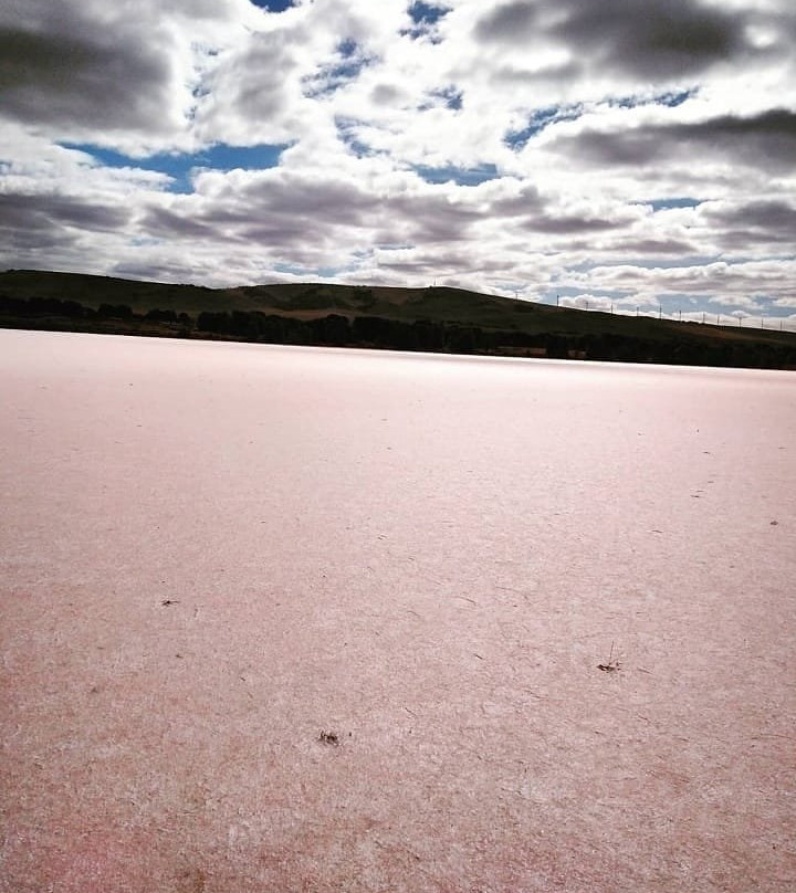 2023年12月Lake Bumbunga景点攻略-Lake Bumbunga门票预订|地址|图片-Lake Bumbunga景点点评-猫途鹰