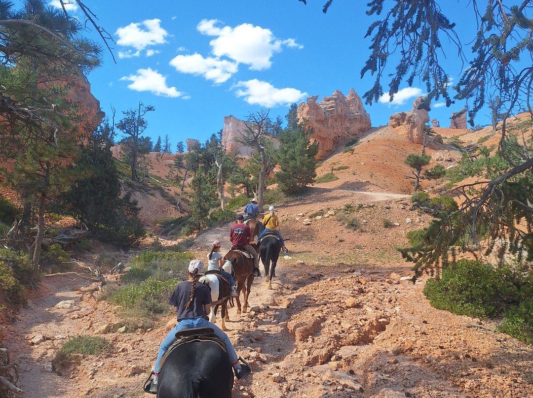 2024年12月Canyon Trail Rides景点攻略-Canyon Trail Rides门票预订|地址|图片-Canyon ...