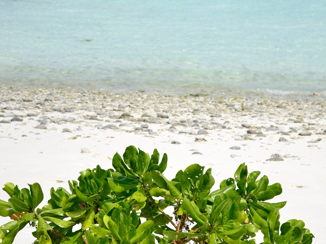 2023年12月Minicoy Island景点攻略-Minicoy Island门票预订|地址|图片-Minicoy Island景点点评-猫途鹰