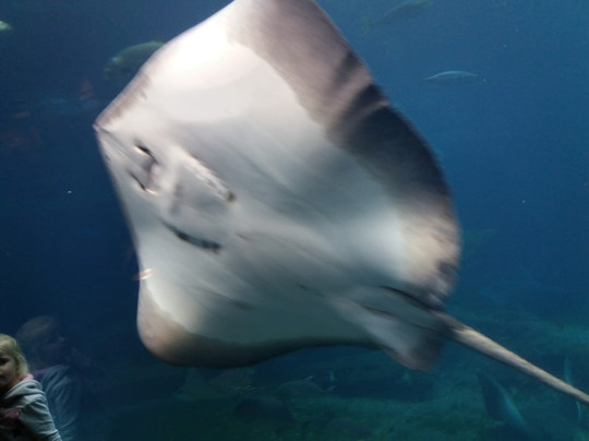 2025年3月U Shaka Marine World景点攻略-U Shaka Marine World门票预订|地址|图片-U Shaka ...