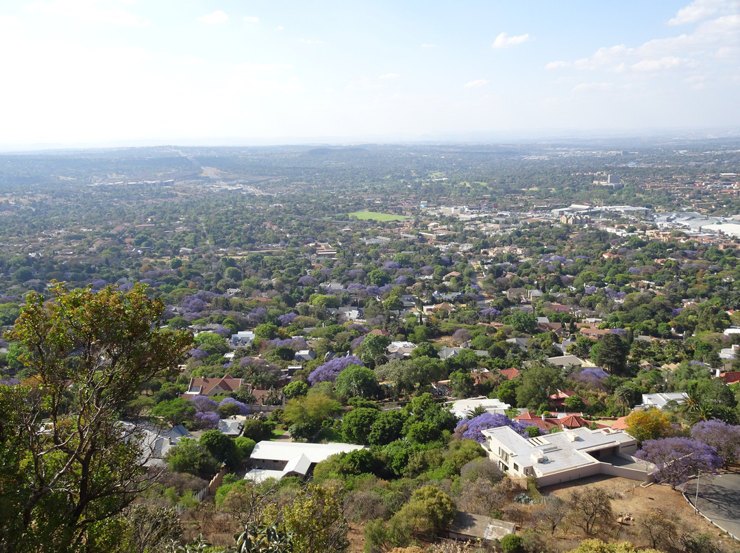 2024年8月Northcliff Ridge Ecopark景点攻略-Northcliff Ridge Ecopark门票预订|地址|图片 ...