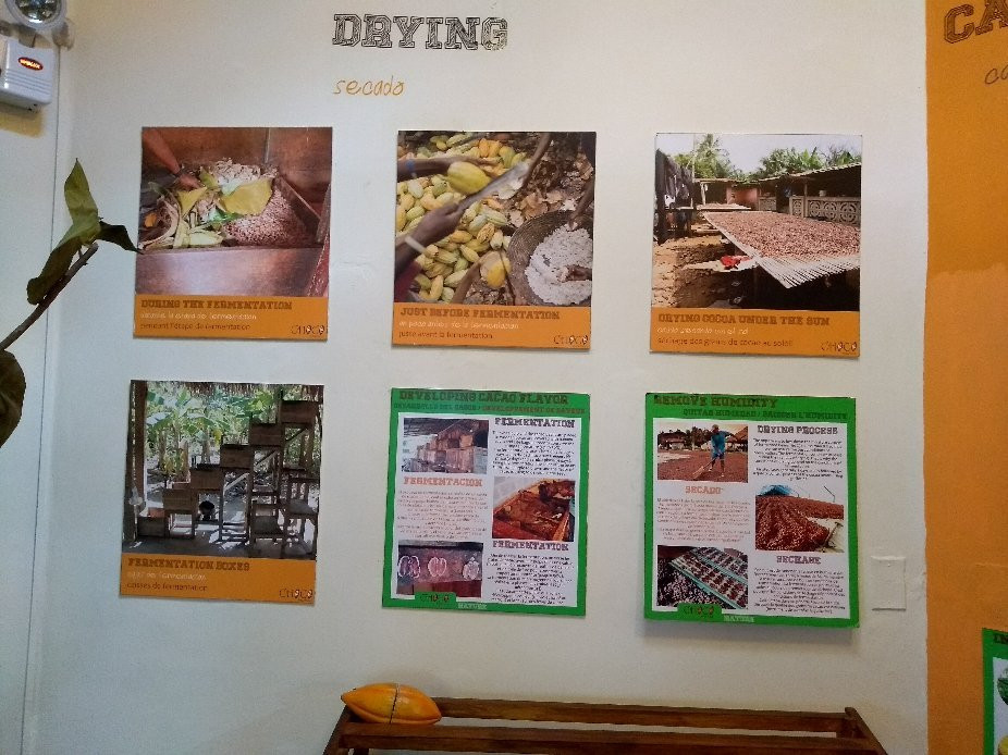 2024年10月ChocoMuseo景点攻略-ChocoMuseo门票预订|地址|图片-ChocoMuseo景点点评-猫途鹰