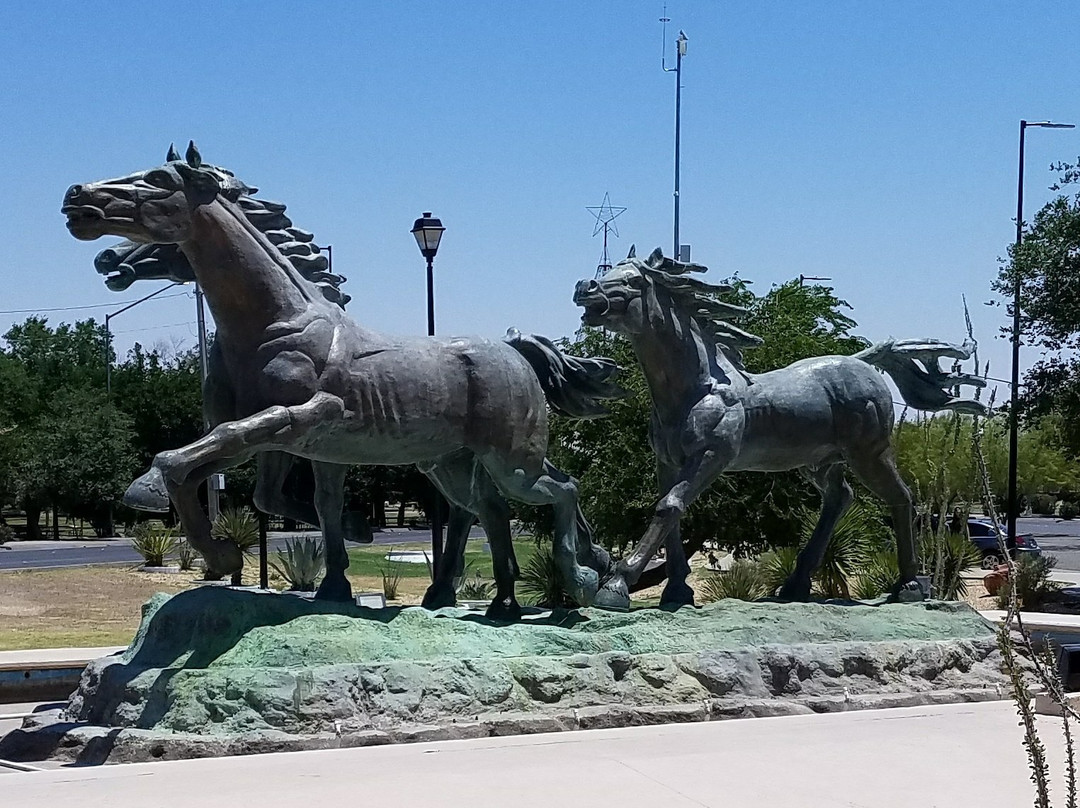 2024年9月Parque Público Federal El Chamizal景点攻略-Parque Público Federal El ...