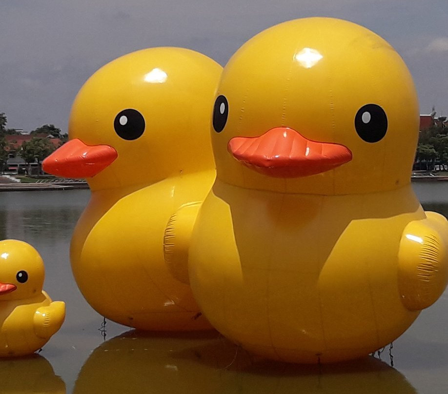 2025年2月Nong Prajak Public Park景点攻略-Nong Prajak Public Park门票预订|地址|图片 ...