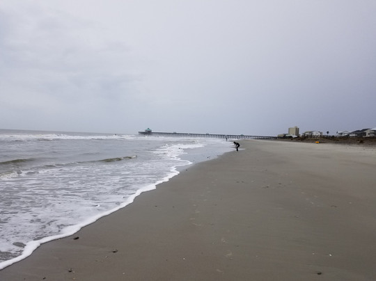 2024年10月Folly Beach Public Beach景点攻略-Folly Beach Public Beach门票预订|地址|图片 ...