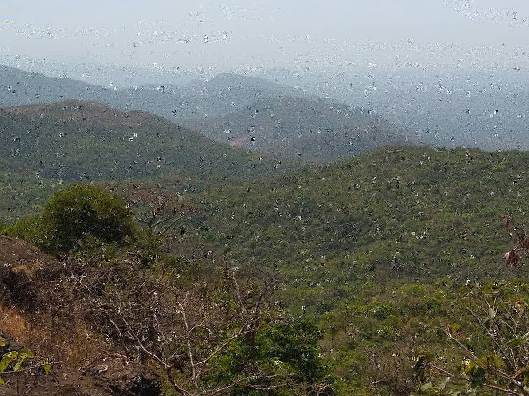 2024年3月Dodamarg旅游景点攻略-Dodamarg旅游住宿,-Dodamarg旅游美食-猫途鹰