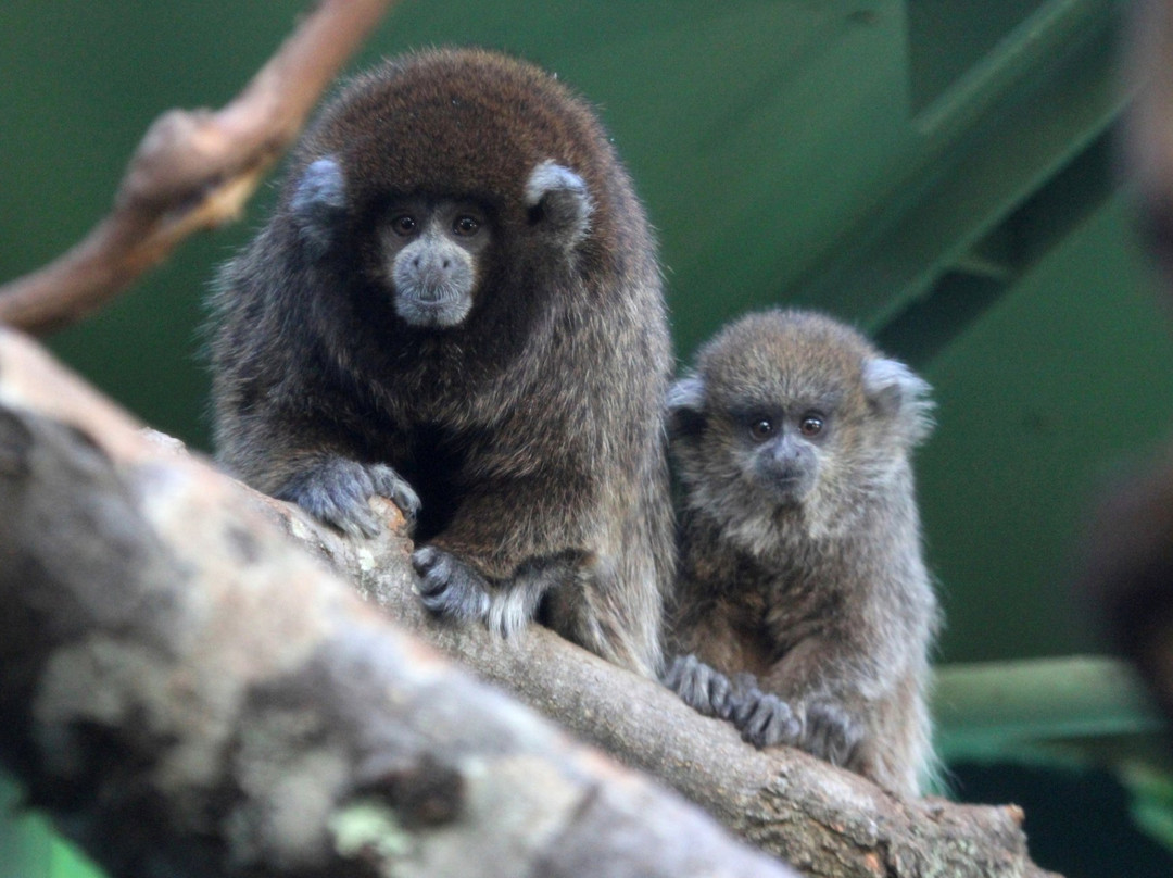 2025年2月Buttonwood Park Zoo景点攻略-Buttonwood Park Zoo门票预订|地址|图片-Buttonwood ...