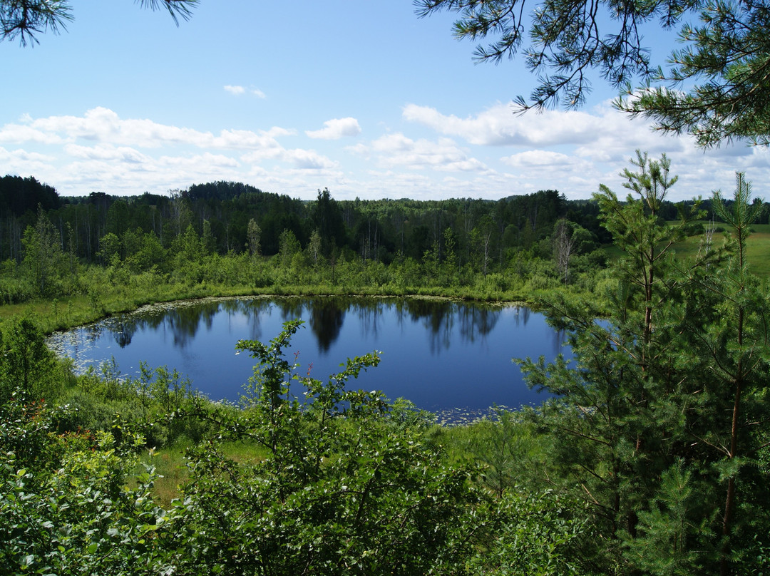 2023年12月Shaury景点攻略-Shaury旅游必去景点-Shaury景点大全-猫途鹰