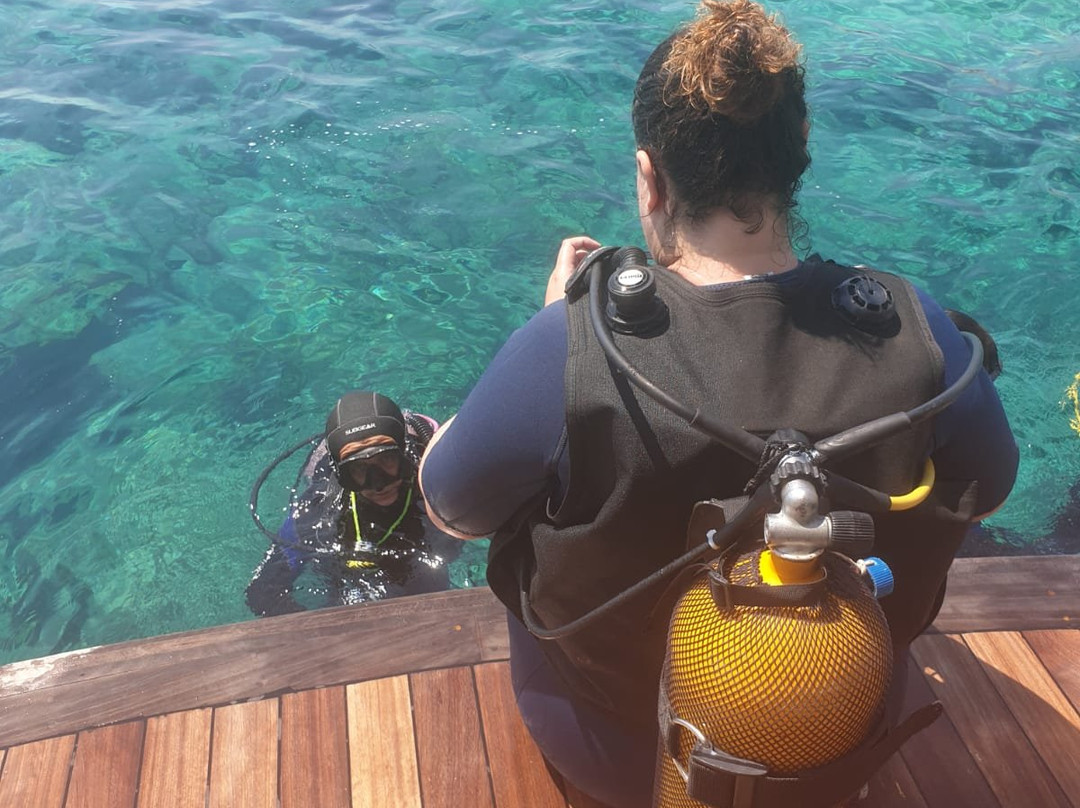 2023年12月Kas Diving景点攻略-Kas Diving门票预订|地址|图片-Kas Diving景点点评-猫途鹰