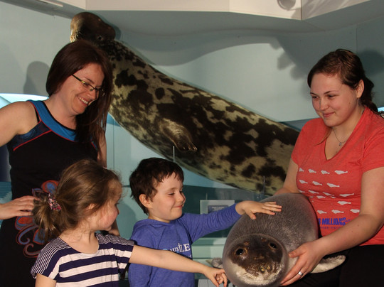 2025年8月Ile de la Grande Entree景点攻略-Ile de la Grande Entree旅游必去景点-Ile de ...