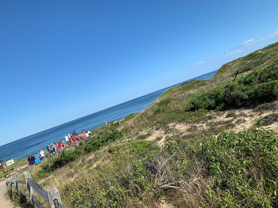 2025年2月Cape Cod Rail Trail景点攻略-Cape Cod Rail Trail门票预订|地址|图片-Cape Cod ...