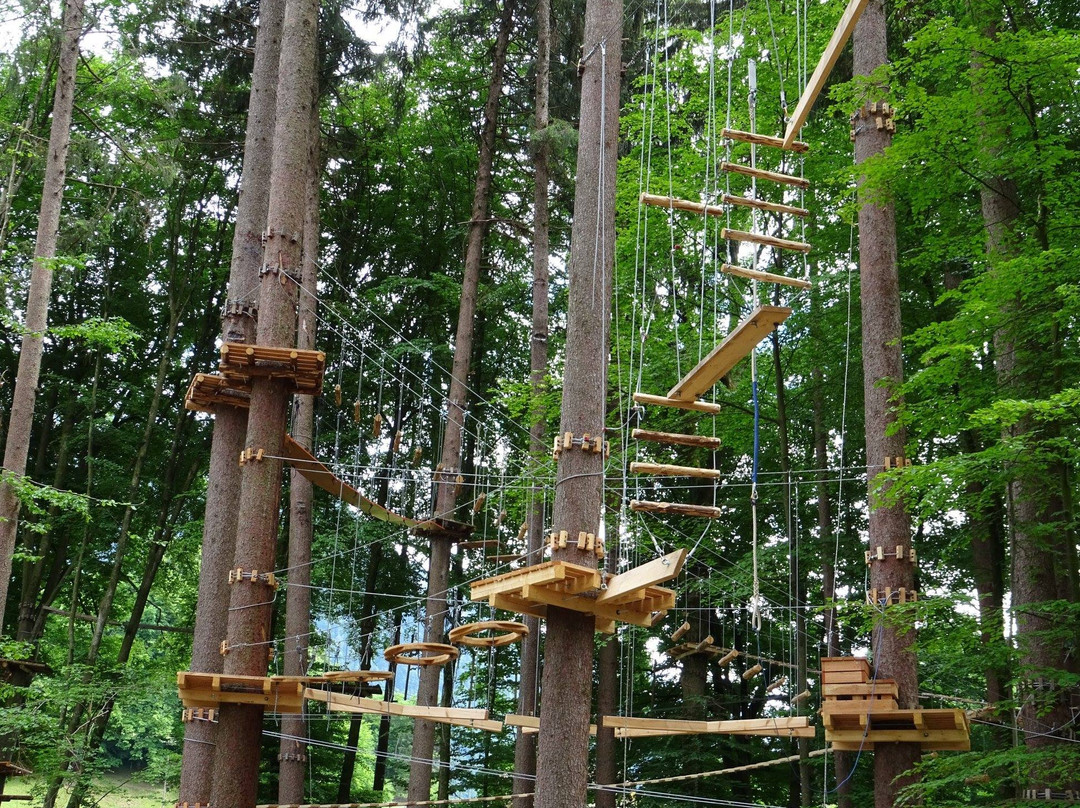 2023年11月OUTDOOR - Interlaken Ropes Park景点攻略-OUTDOOR - Interlaken Ropes ...