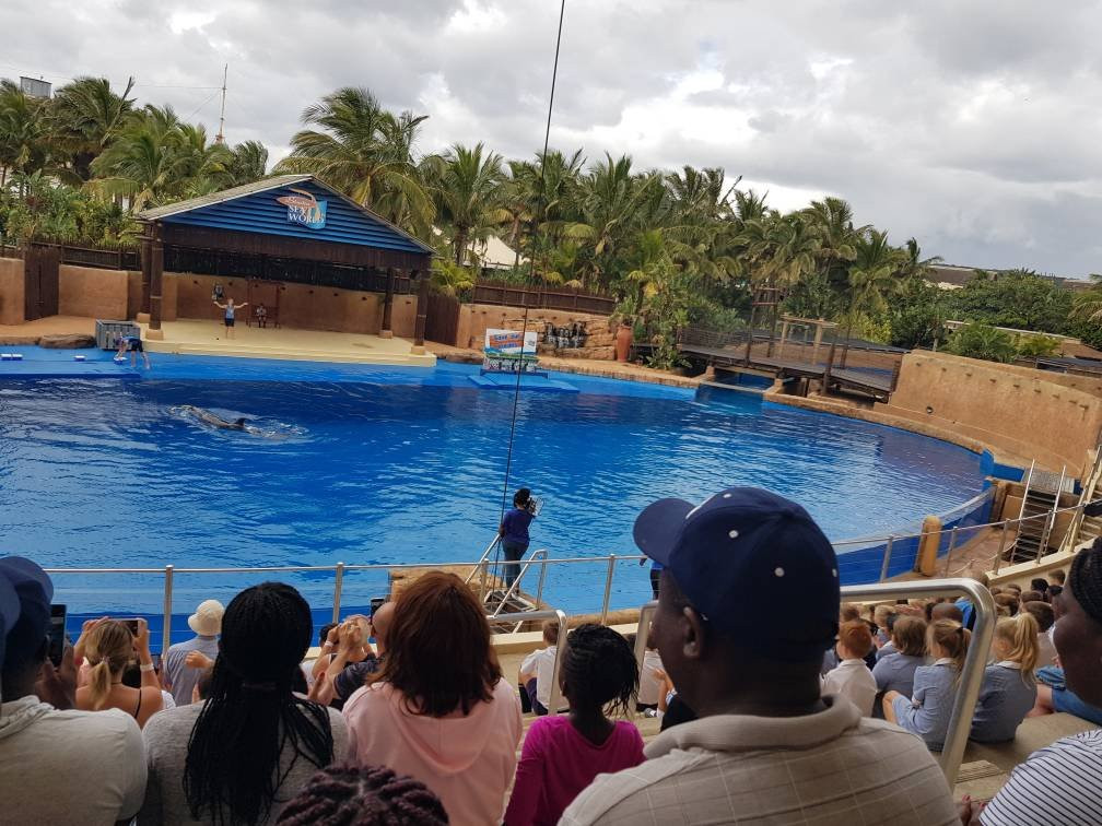 2025年2月U Shaka Marine World景点攻略-U Shaka Marine World门票预订|地址|图片-U Shaka ...