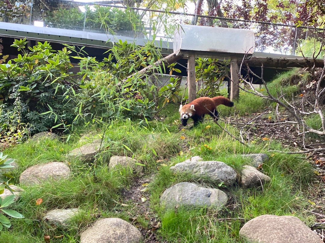 2024年10月Odense Zoo景点攻略-Odense Zoo门票预订|地址|图片-Odense Zoo景点点评-猫途鹰